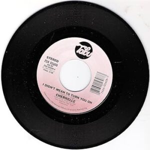 Parts of a Record Player And Turntable (With Diagram) - Anatomy