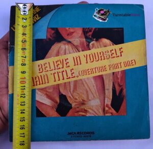 Vinyl Records Dimensions And Size of Record Cover or Sleeves